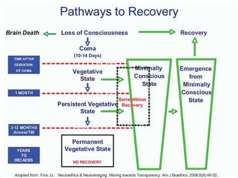 Pathways To Recovery In Disorders Of Consciousness Download