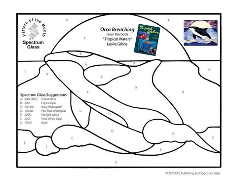 Orca Breaching Tucson Stained Glass