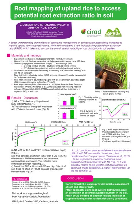 Pdf Root Mapping Of Upland Rice To Access Potential Root Extraction