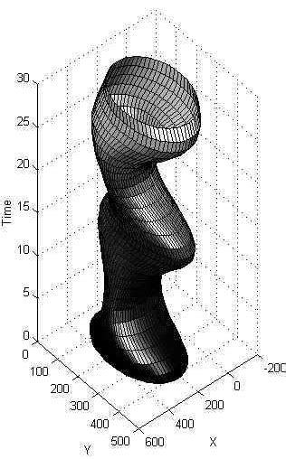 Examples Of Synthetic Spatio Temporal Shapes A Circle With