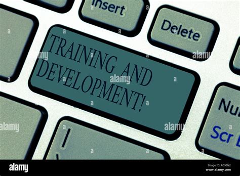 Word Writing Text Training And Development Business Concept For