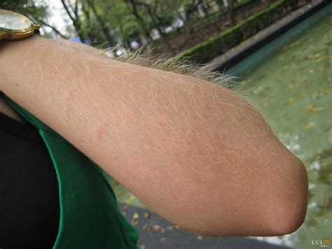 Flickriver Hairy Arms Girls With Hairy Arms Flickr
