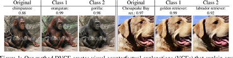 Figure From Diffusion Visual Counterfactual Explanations Semantic Scholar