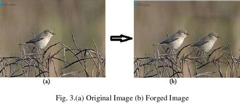 Figure 3 From Exposing Digital Image Forgeries Using Feature Extraction And Adaptive Over