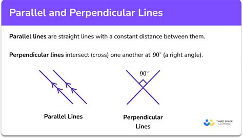 Perpendicular And Parallel Shapes Types Of Lines Reference Poster