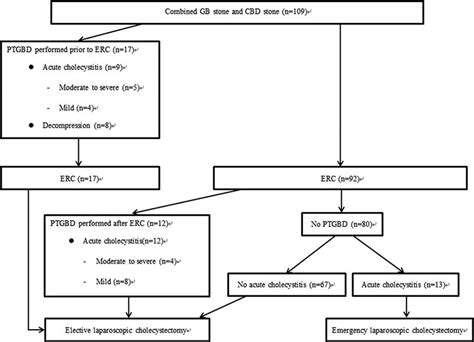 Laparoscopic Cholecystectomy Steps