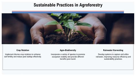 Presentation On Agroforestry Endocrinology Ppt Guidelines Acp Ppt