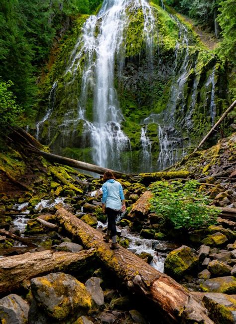 Hike To The Epic Tamolitch Blue Pool In Oregon Locals Guide