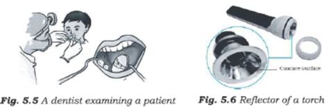 Class 7 Science Light Chapter Notes