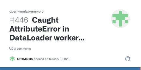 Caught Attributeerror In Dataloader Worker Process 0 · Issue 446 · Open Mmlabmmyolo · Github