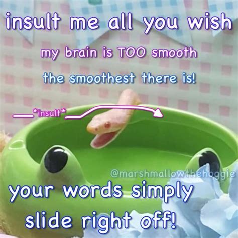 Insult Me All You Wish My Brain Is Too Smooth Know Your Meme