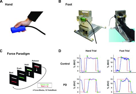Experimental Setup And Paradigm A Hand Force Device That Measured Download Scientific