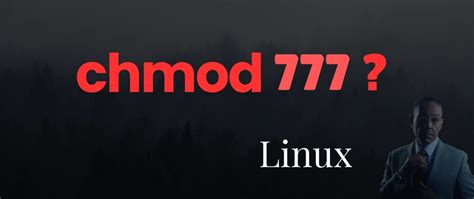 Understanding Chmod 777 Dev Community