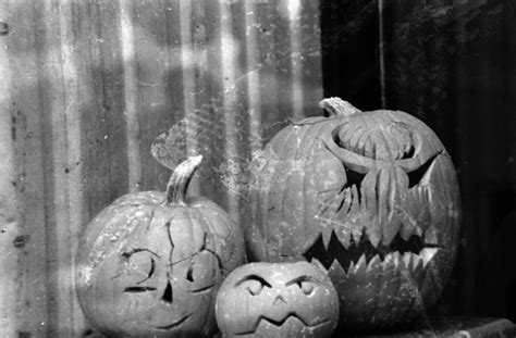 Get To Know Our Creators Advanced Knife Bro Knife Informer