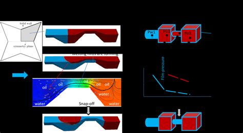 Imbibition Modelled In A Direct Approach Showing Only Symmetry Download Scientific Diagram
