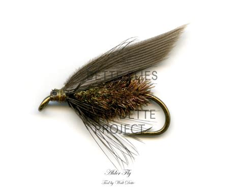 Walt Dette Project Dette Flies
