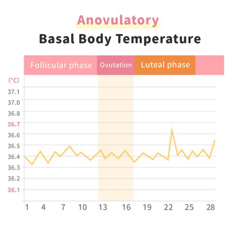 Ovulation Temperature Graphs Bbt Calculator Basal Body Temperature