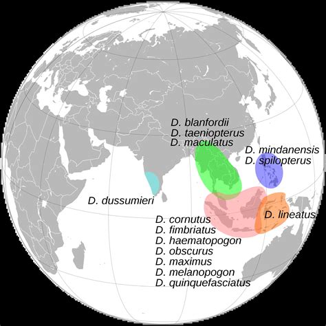 Southern Flying Lizard Facts Diet Habitat And Pictures On Animaliabio