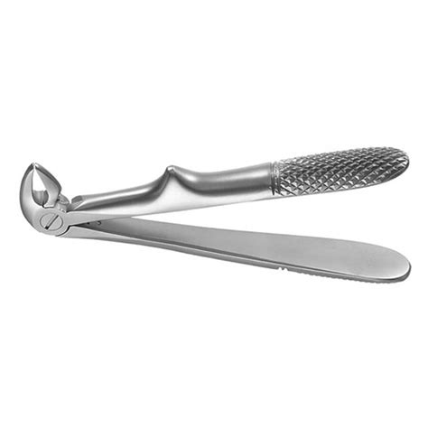 Forceps For Mandibular Molars At Hunter Langham Blog