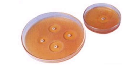Antibiotic Disks Klm Bio Scientific