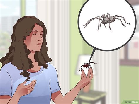 Cómo No Tener Miedo 15 Pasos Con Imágenes Wikihow