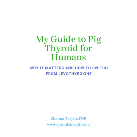 My Guide To Pig Thyroid For Humans Sprouts Health