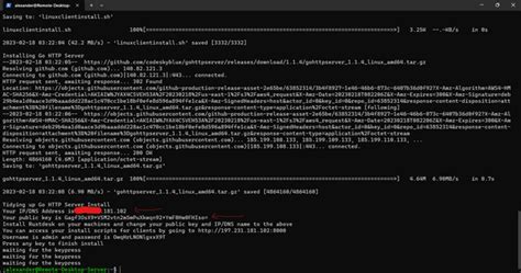 Setting Up Your Own Custom Remote Desktop For Free With Rustdesk