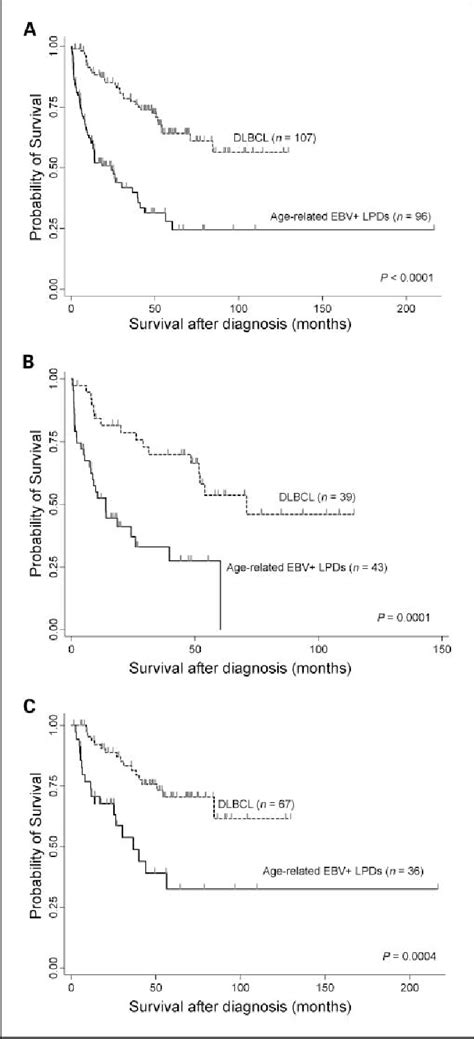 Figure 1 From Age Related Ebv Associated B Cell Lymphoproliferative