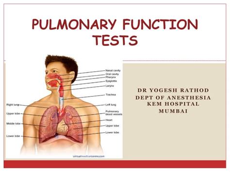 Pulmonary Function Test Pdf