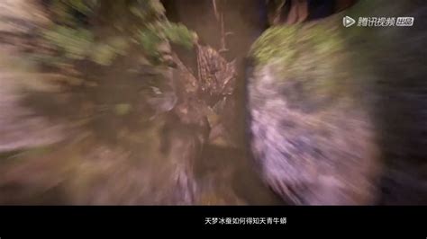 斗罗大陆：天梦冰蚕的造神灵感居然来源于大明和二明？高清1080p在线观看平台腾讯视频