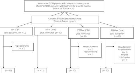 Flow Diagram Of The Study Bp Bisphosphonate Dmab Denosumab Serm