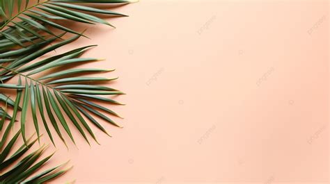 Aesthetic Summer Vibes Palm Leaves Spread Out On A Delicate Pink Green