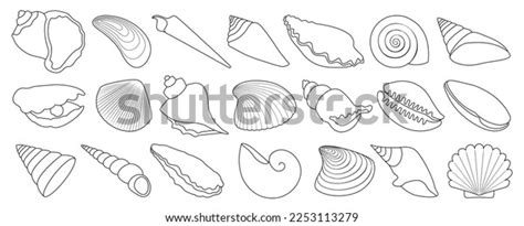 Shell Vector Outline Set Icon Vector Stock Vector Royalty Free