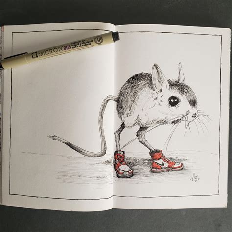 215 Best Jerboa Images On Pholder Ark Nature Is Fucking Lit And Aww