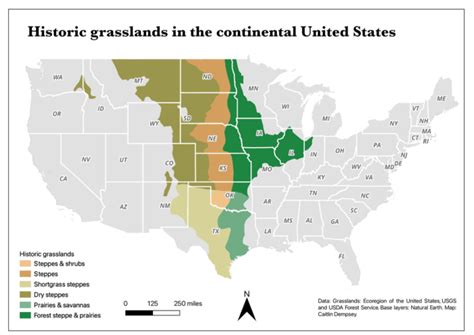Basics Of A Map Geography Realm