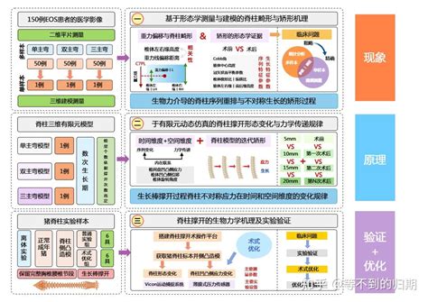 审美积累，顶刊论文插图原理图、流程图 知乎