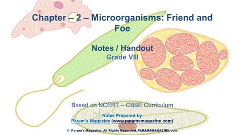 Upsr Chapter 8 Microorganisms Microorganisms Friend And Foe Class 8