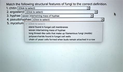 Solved Match The Following Structural Features Of Fungi To The Correct