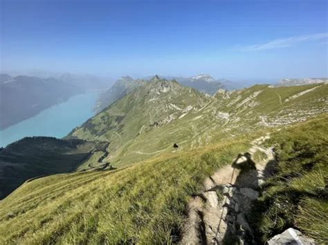 10 Best Trails And Hikes In Brienz Alltrails