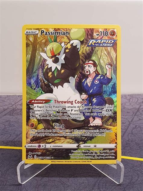 Passimian Tg08tg30 Holo Rare Full Art Silv Köp På Tradera 580572224