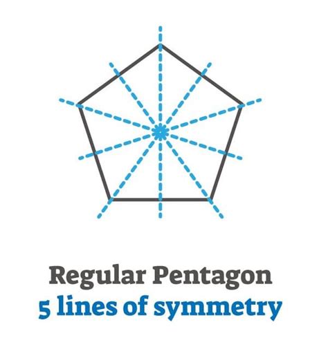 Lines Of Symmetry Shalom Education