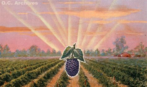 Rudy Boysen And The Boysenberry Orange County Historical Society