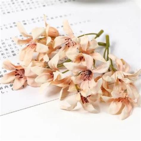 Small Twig Magnolia Light Orange Peach