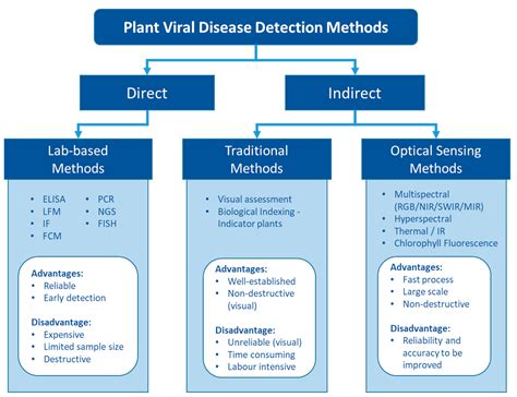 Plant Viral Disease Detection Encyclopedia Mdpi