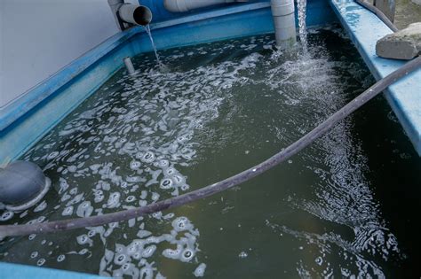 Aquaculture Niomr