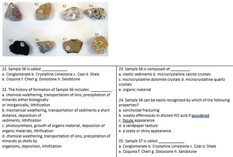 Solved 21 Sample 6 Is Called A Conglomerate B