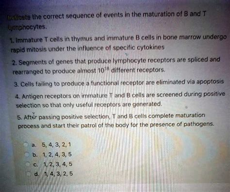 Indicate The Correct Sequence Of Events In The Maturation Of B And T