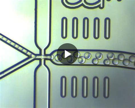 Microfluidics Biotechnology Research Innovation Dolomitemicrofluidics… Dolomite Microfluidics