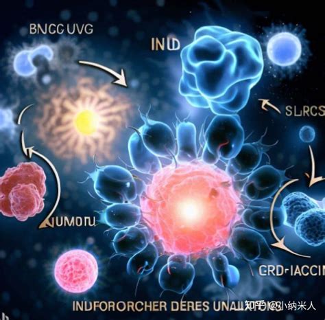 如何利用irgd Bcc Usinp诱导肿瘤细胞的铁下垂和免疫遗传性细胞死亡？ 知乎