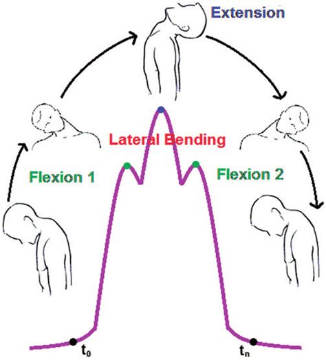 Circumduction And Rotation